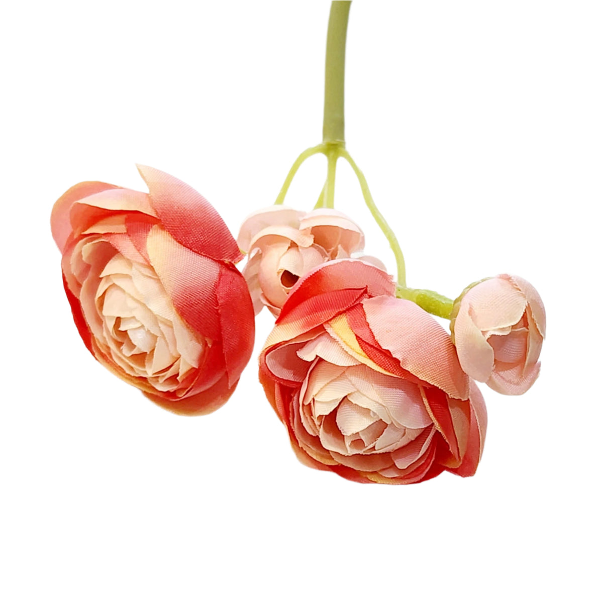Ranunculus Four Flower Stem: Coral – The Summer Kitchen