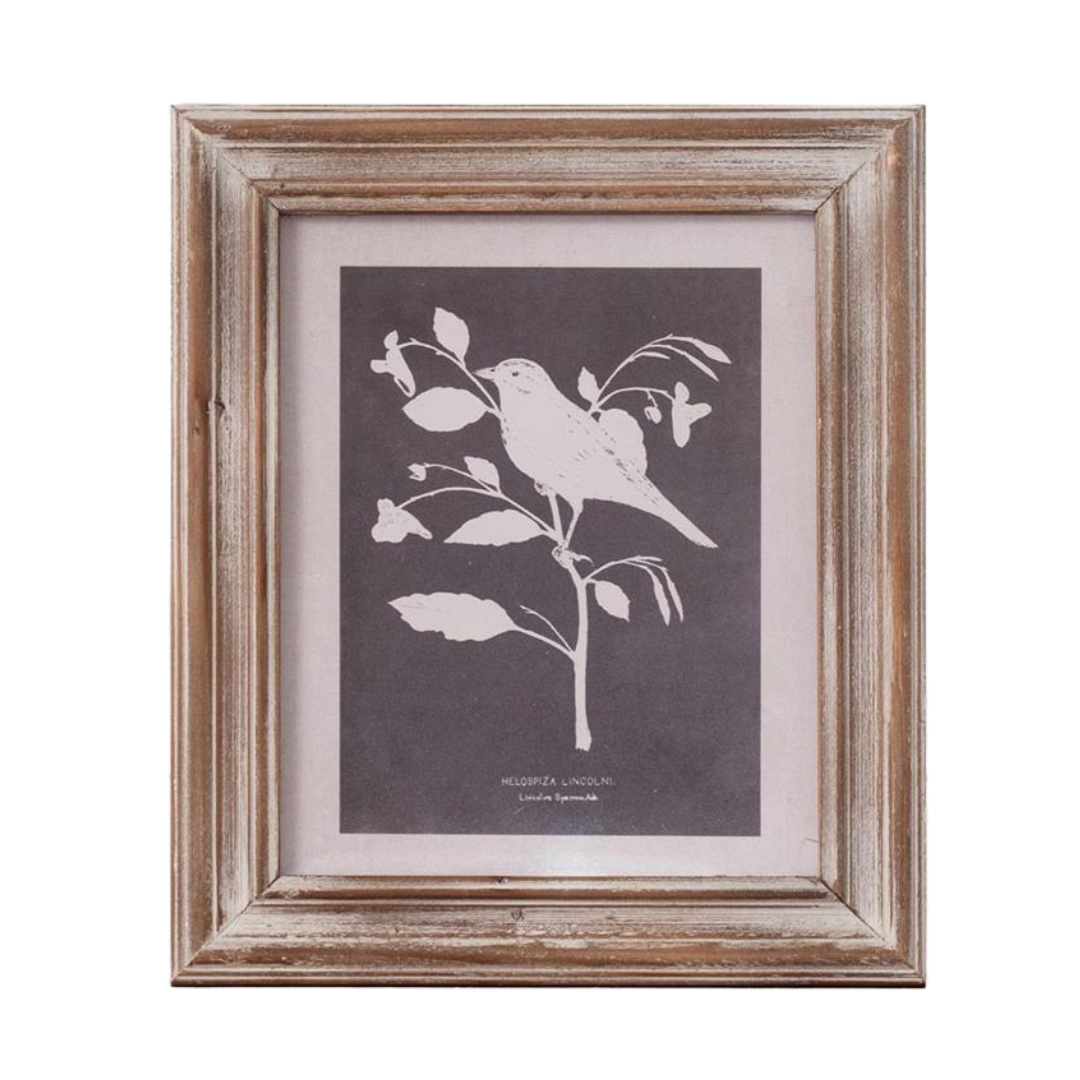 Bird Facing Left Framed Picture – The Summer Kitchen