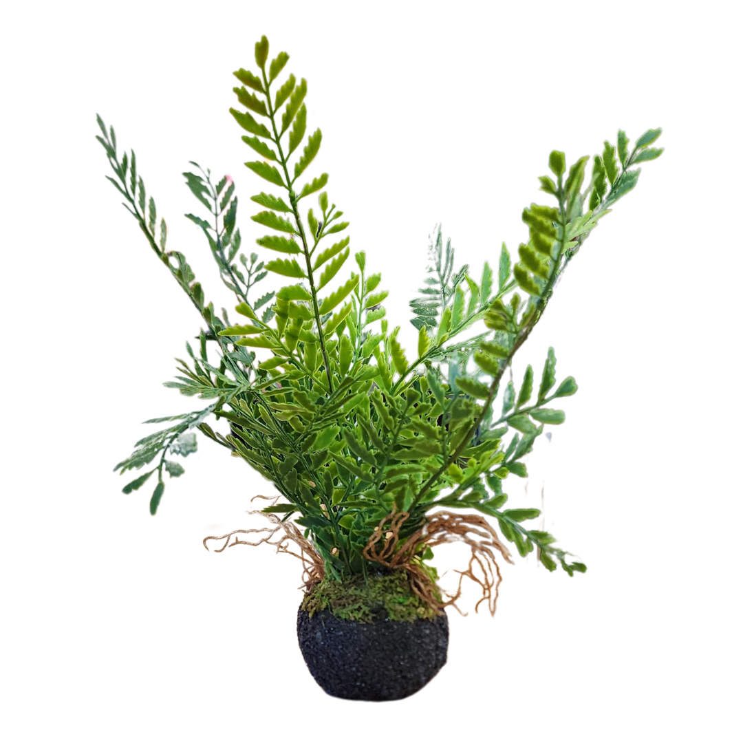 Fern With Faux Soil Base – The Summer Kitchen